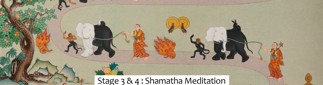 The Pictorial Depiction of Samatha Practice - The White Elephant